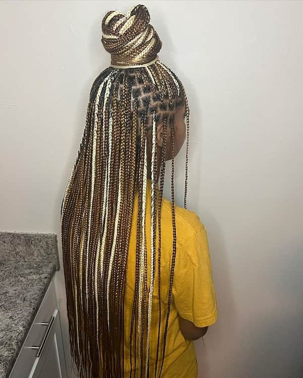 17 Pretty Mixed Blonde Knotless Braids for Ladies