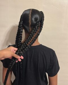 Top 12 Jayda Wayda Braids Hairstyles
