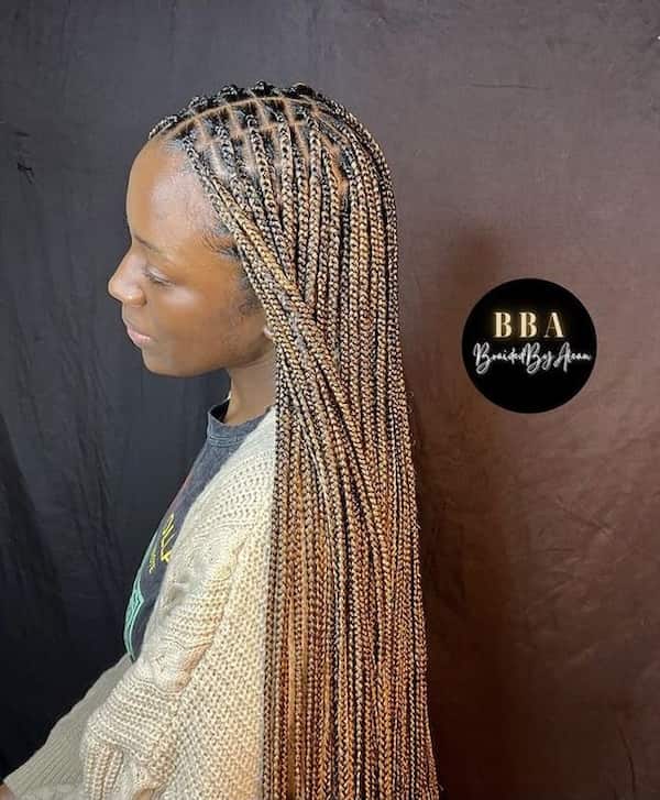 Top 10 Small Box Braids Styles You Need to Try Today